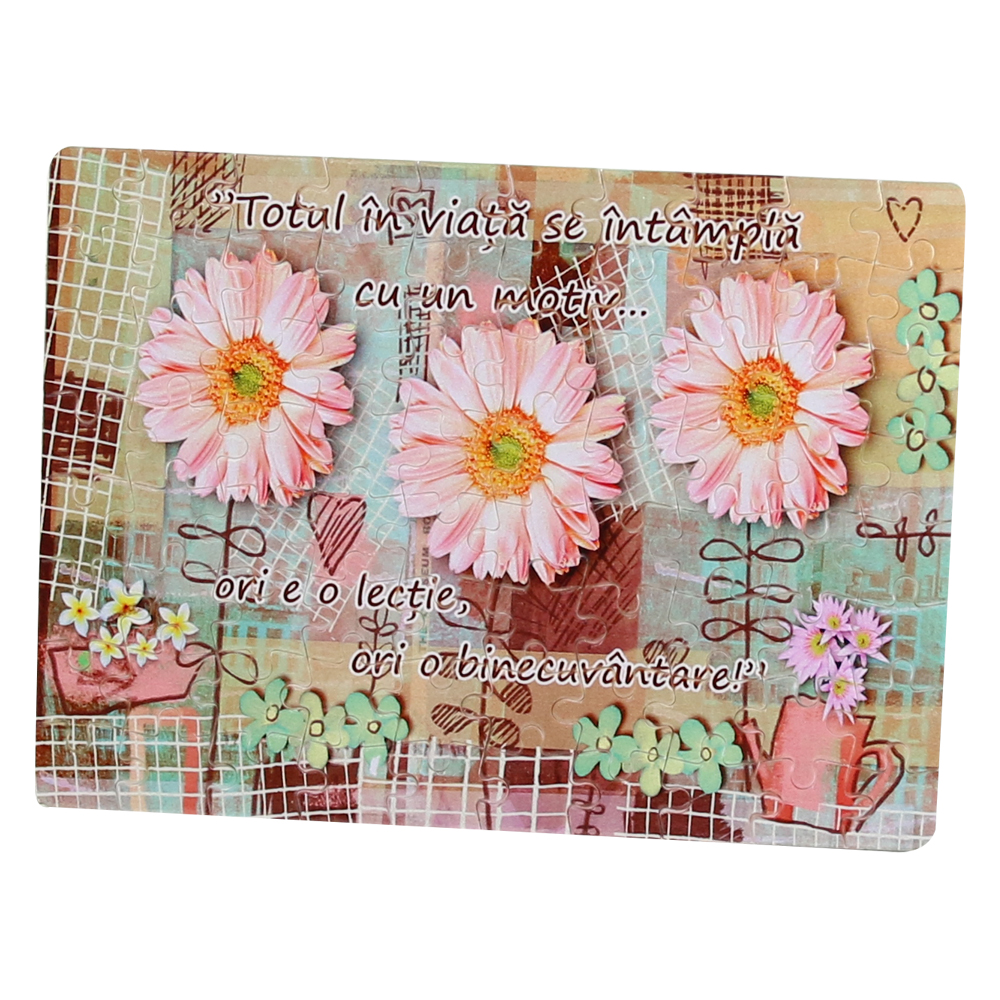 Puzzle 80 piese "Totul in viata se intimpla cu un motiv..." 20x14.5 CM ...